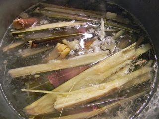 How to make cane syrup at home... without a sugar cane press! | The ...