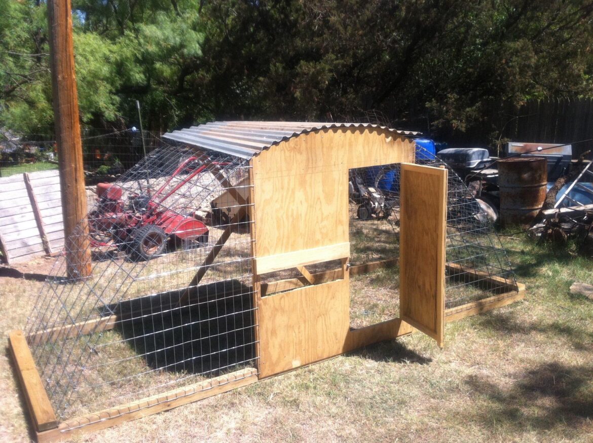 Cattle Panel Chicken Tractors | The Survival Gardener