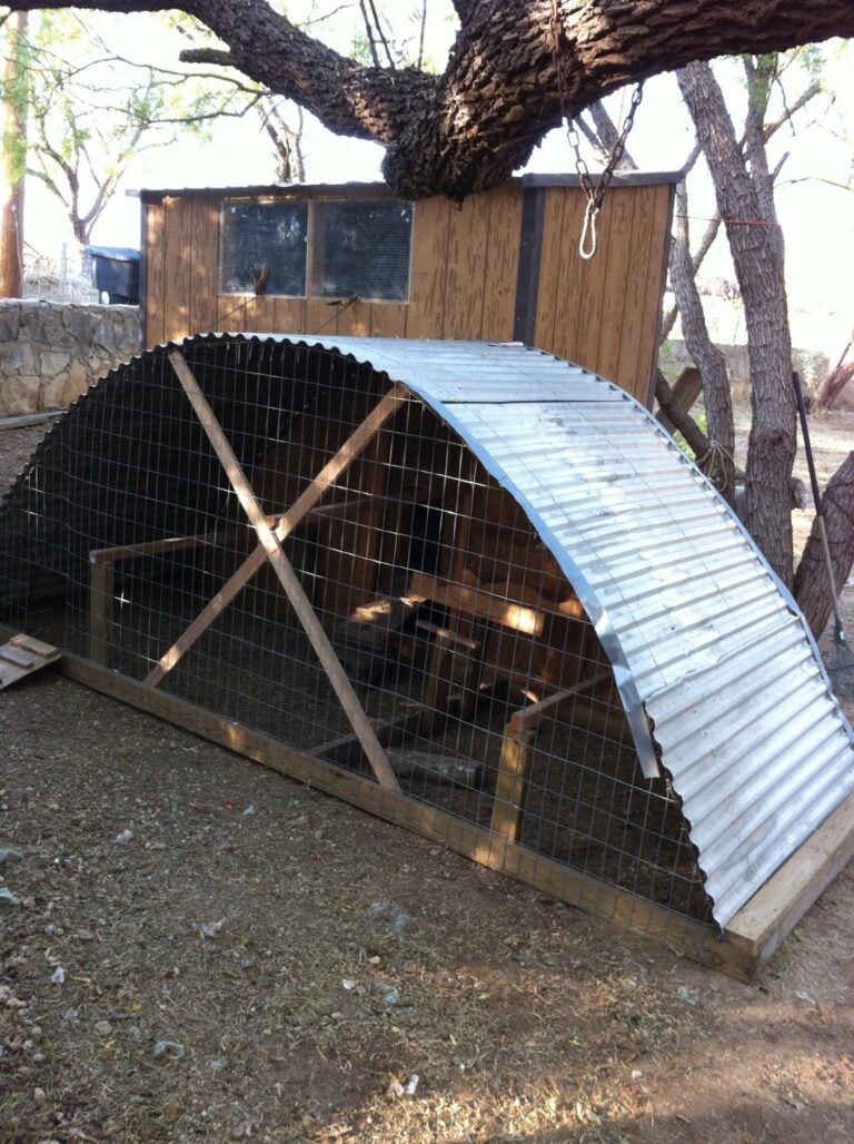 Cattle Panel Chicken Tractors | The Survival Gardener