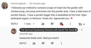 Melon Pits Work! | The Survival Gardener