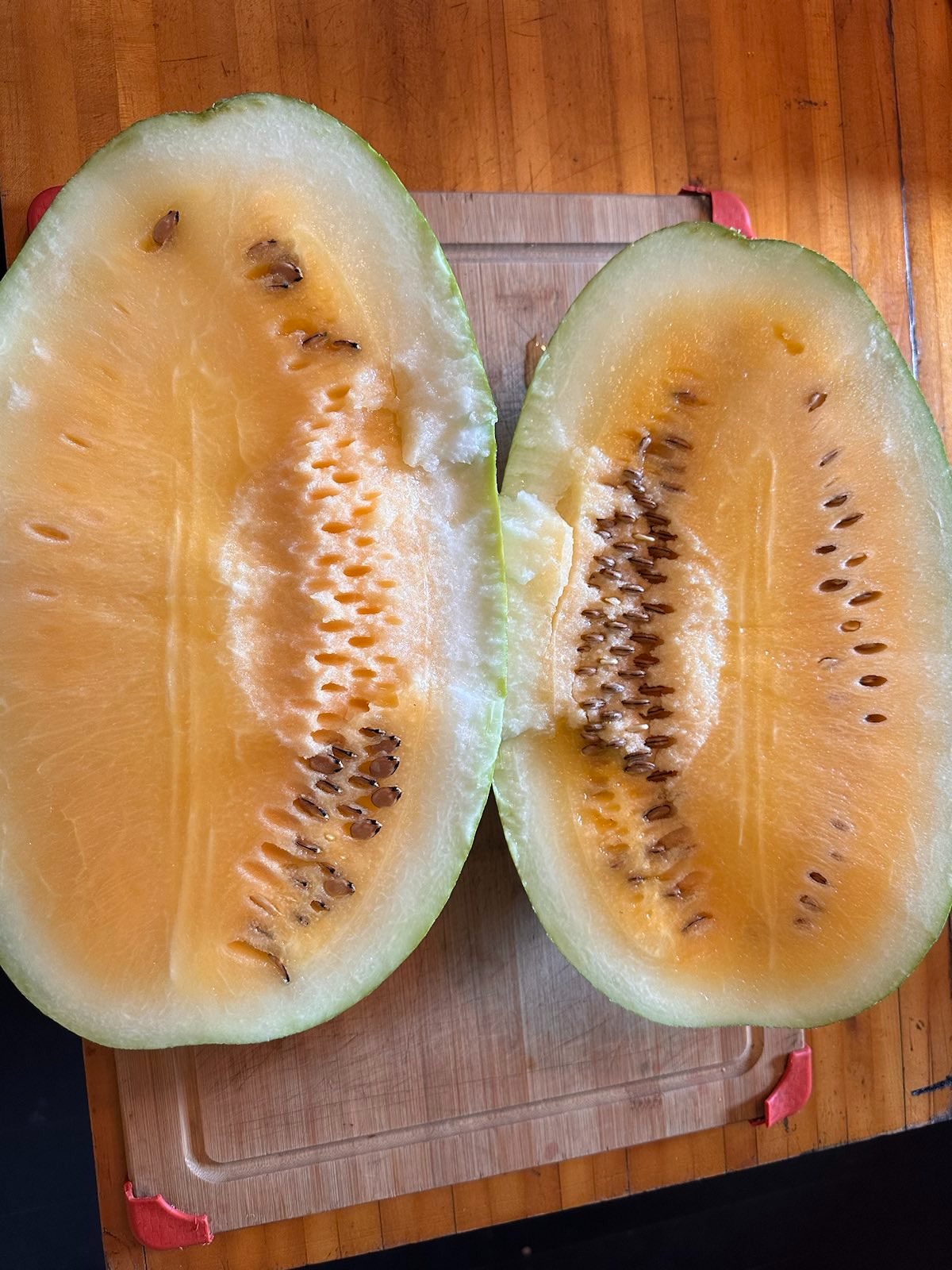 Watermelons and weeds and it's HOT HOT HOT! | The Survival Gardener